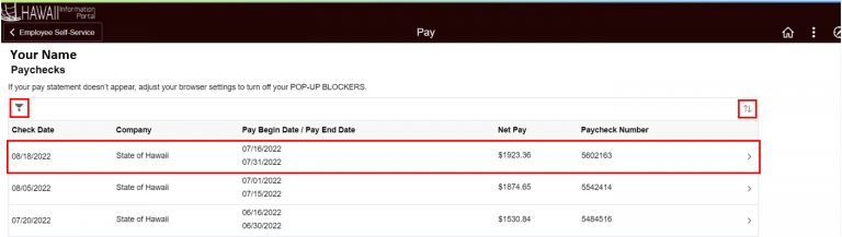 Hawaii Information Portal | How To Get Your Pay Statement