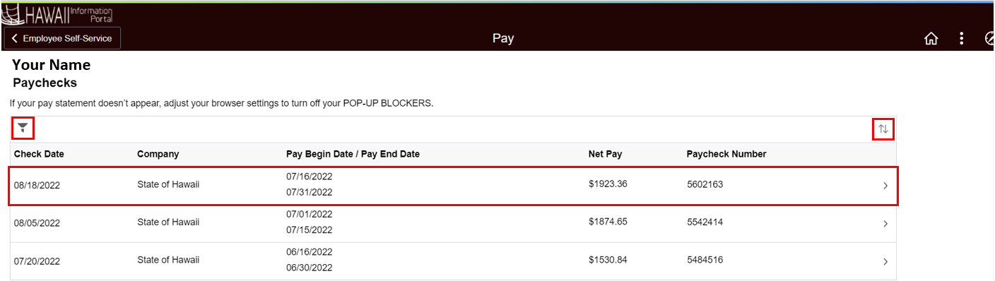 Hawaii Information Portal | How To Get Your Pay Statement